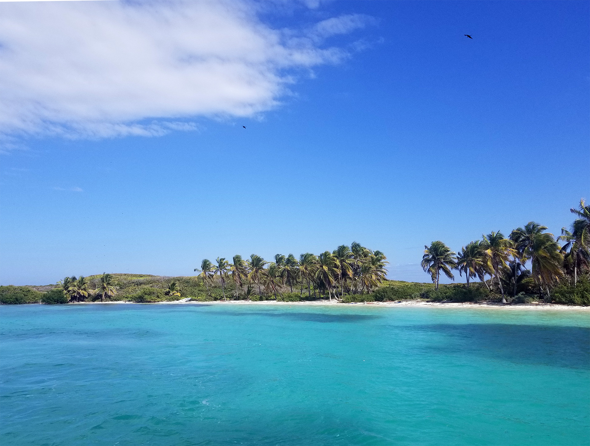 Isla Contoy [Mexico]: The Definitive Guide (+ My Best Tips)