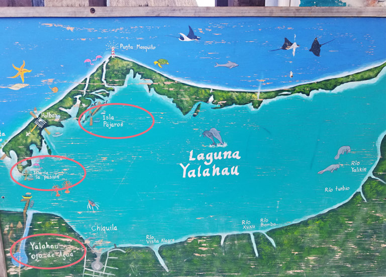 Qué Hacer en Holbox | 12 cosas que Ver + Dónde dormir? | México 2025