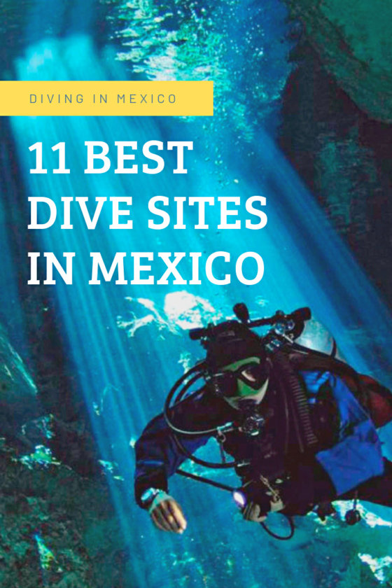 Diving in Mexico | The 12 Best Dive Sites | Mexico Scuba Diving