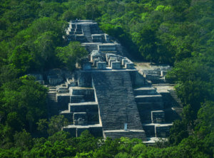 Maya Train: The Definitive Guide 2025 | Mexico