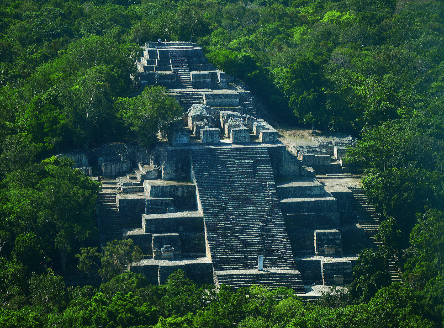 Maya Train: The Definitive Guide 2025 | Mexico