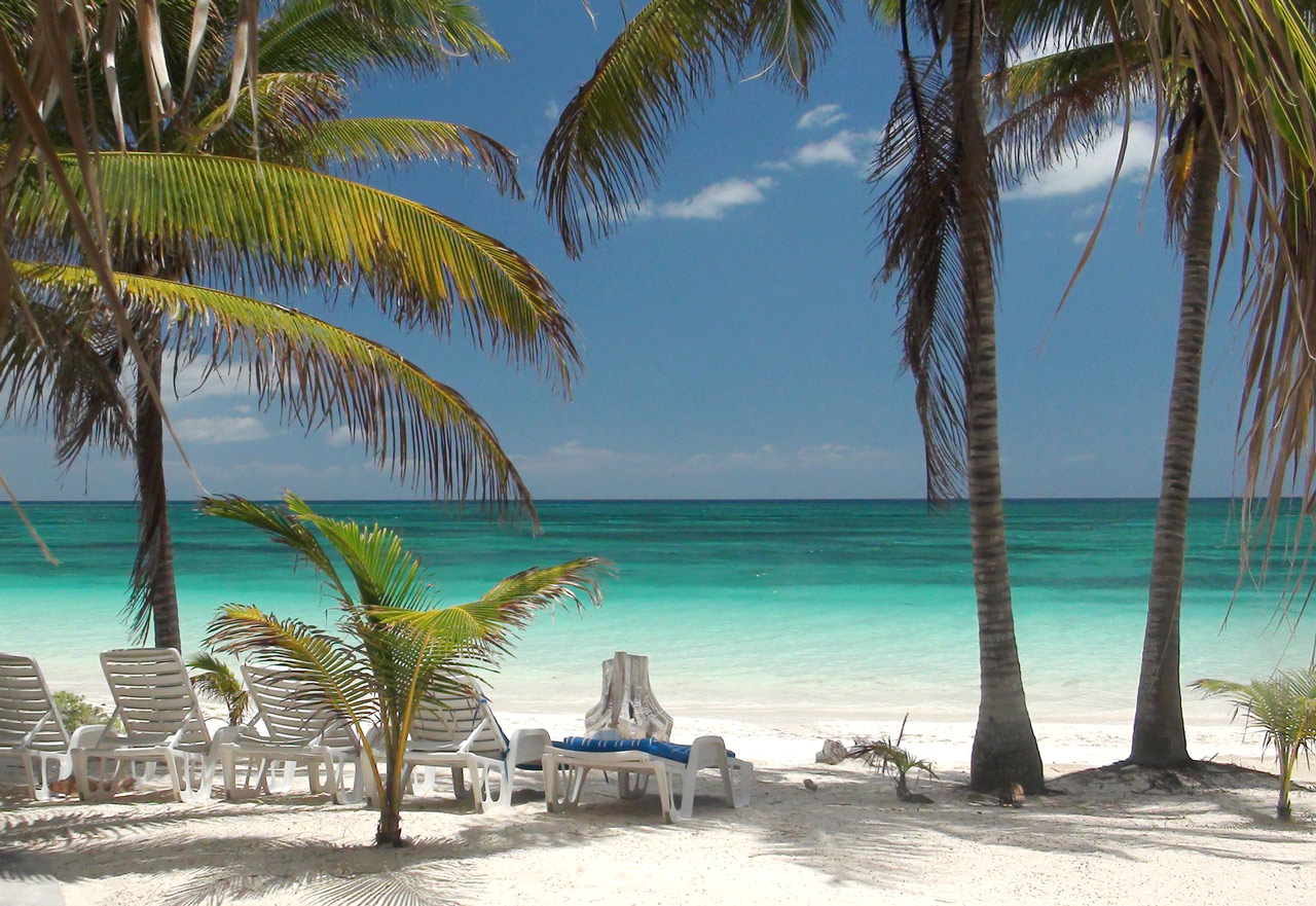 Qué Hacer en Tulum | 21 cosas que ver + Dónde dormir? | México