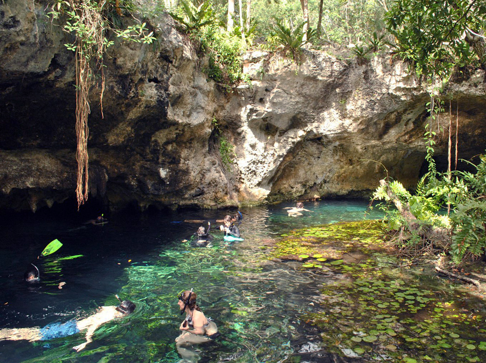 Les 15 Plus Beaux Cénotes près de Cancun | + Conseils
