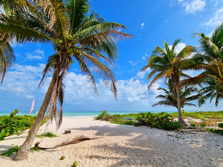 10 Best Things to Do en El Cuyo (Yucatan) | 2024