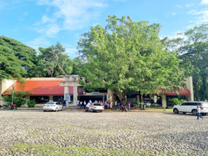 Palenque (Chiapas): ¿Cómo visitar? | México 2026