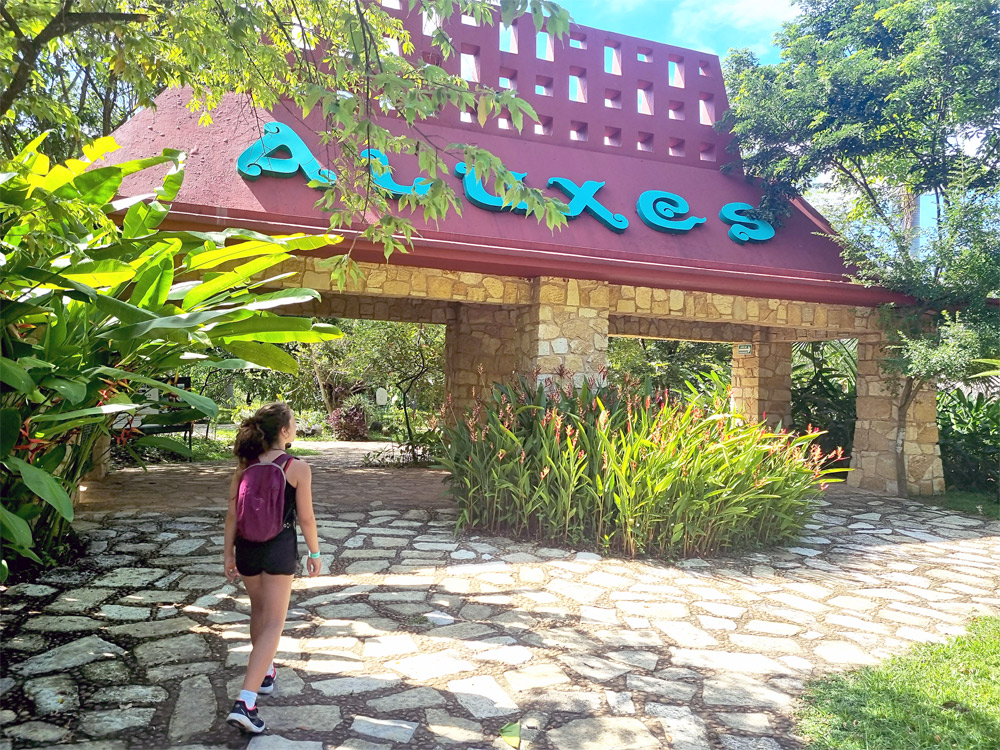 Palenque (Chiapas): ¿Cómo visitar? | México 2026