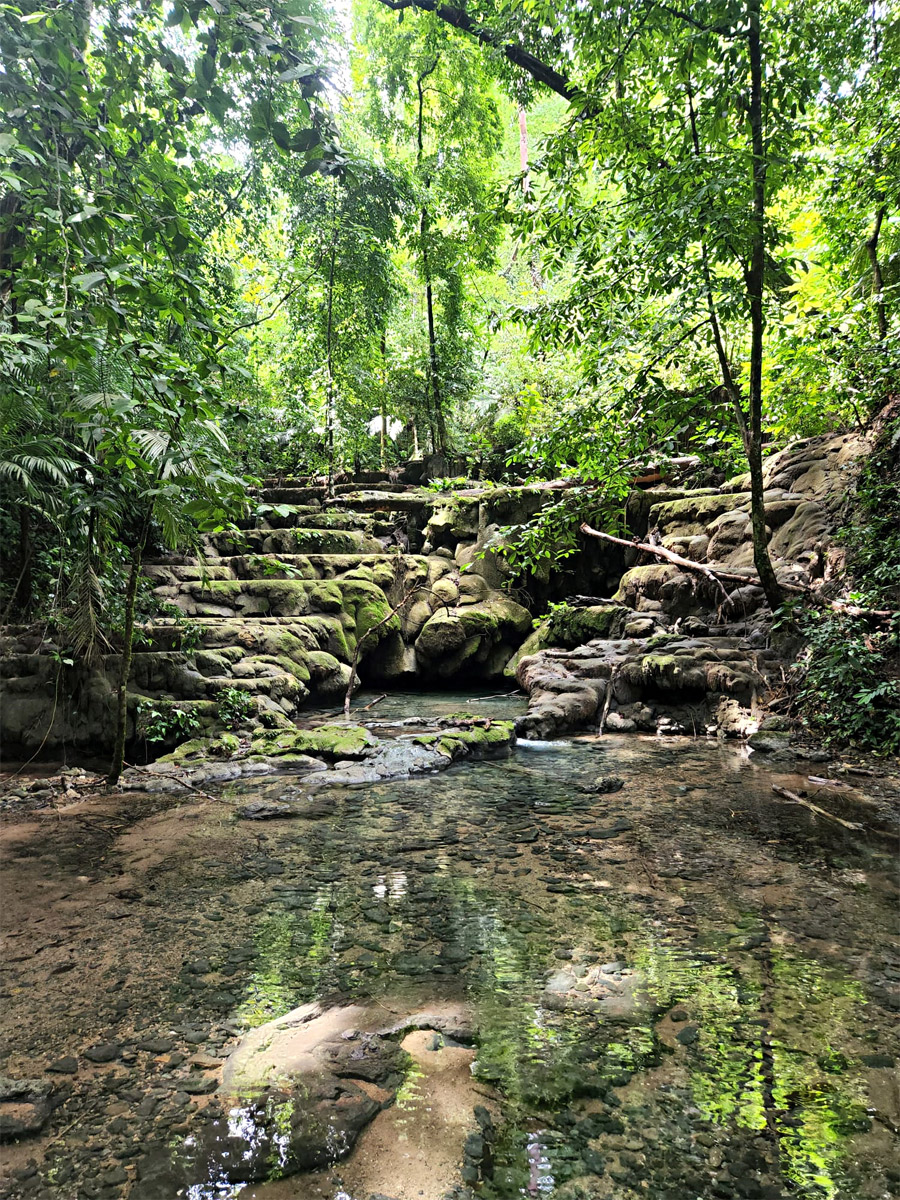 Visiter Palenque (Chiapas): le Guide Complet | Mexique 2025