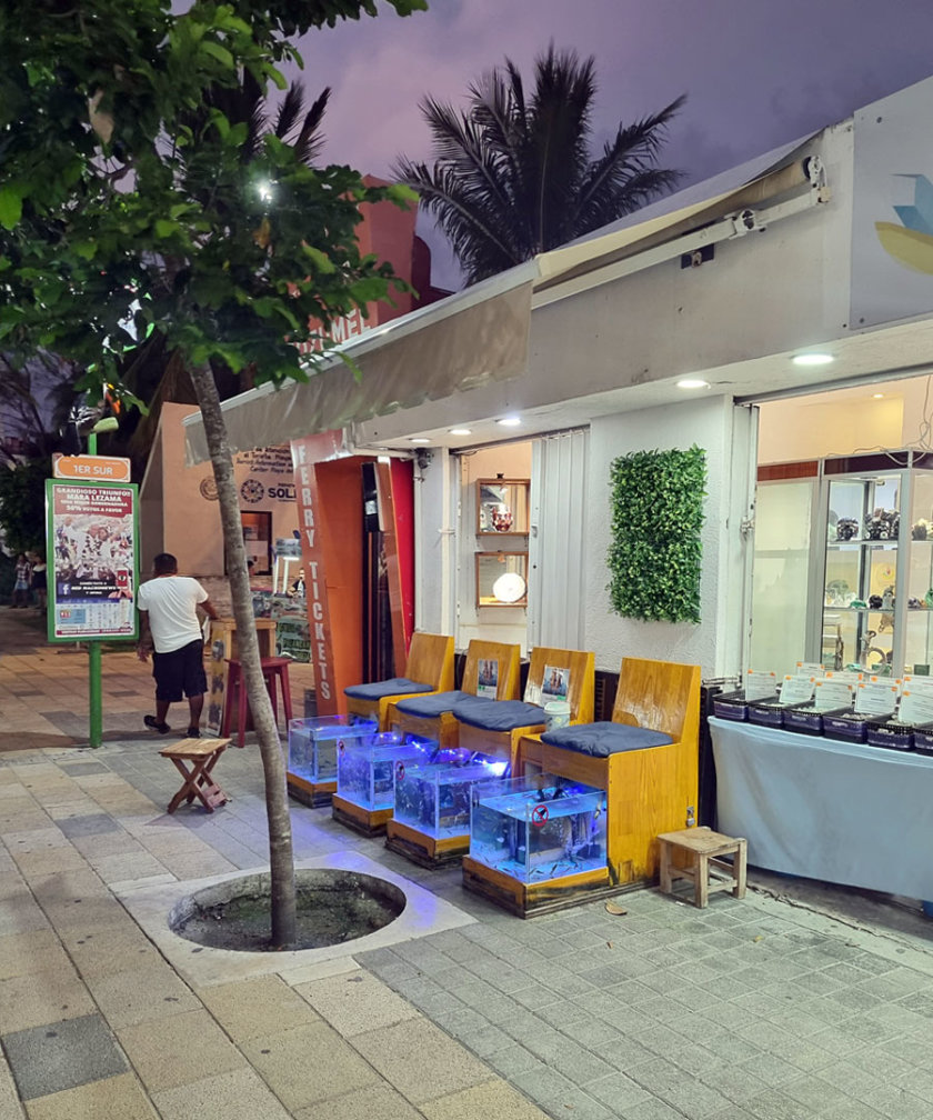 30 Best Things to do in Playa del Carmen | Mexico 2025