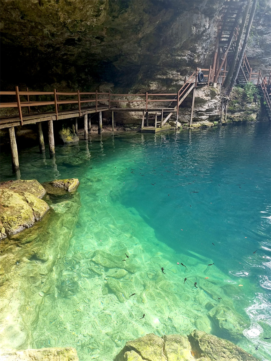 Cenote Xcanché: The Definitive 2025 Guide (+ Tips)