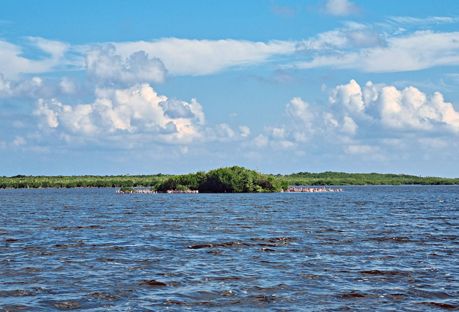 Visiter Punta Sur à Cozumel | Guide + Conseils | 2025