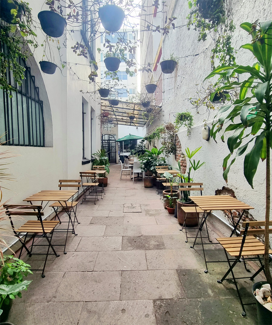 40+ Best Cafes with Wifi in Mexico City (Updated 2025)