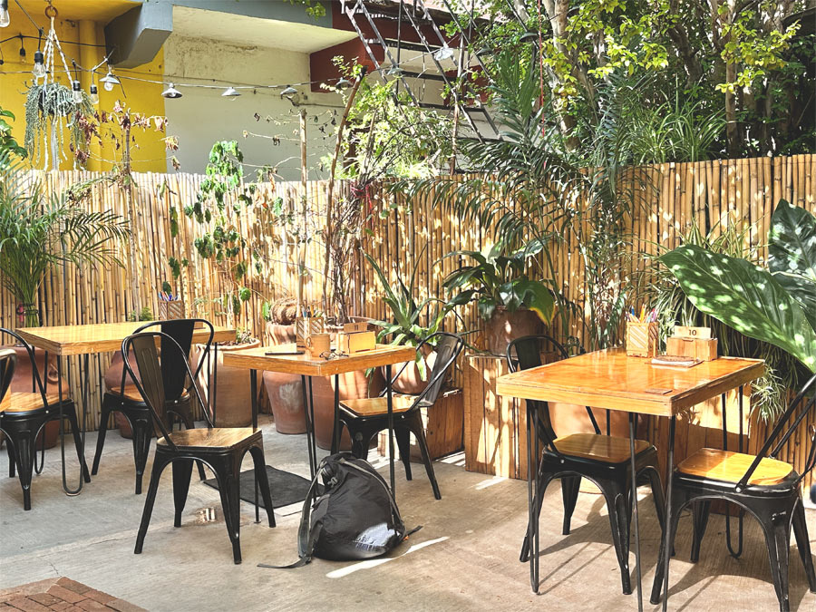 Las 7 Mejores Cafeterías en Oaxaca (Checklist 2025)