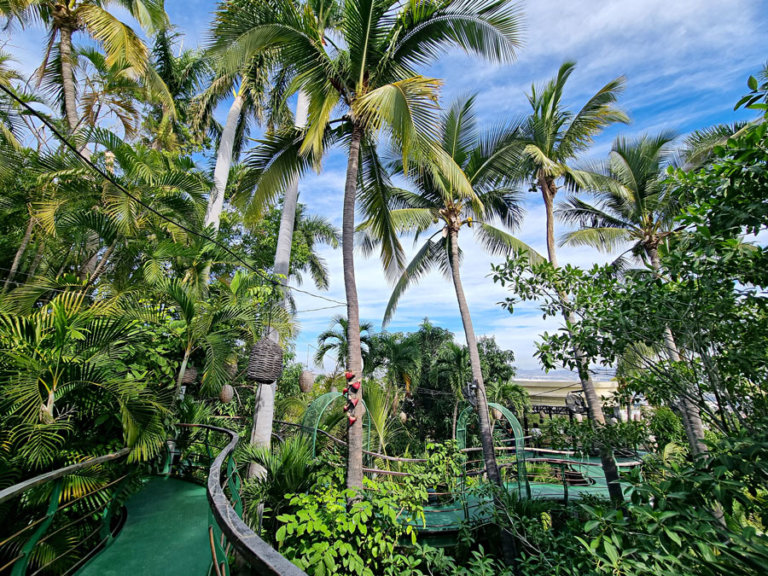 How to Visit Mazatlan Observatory: Guide + Tips (2025)