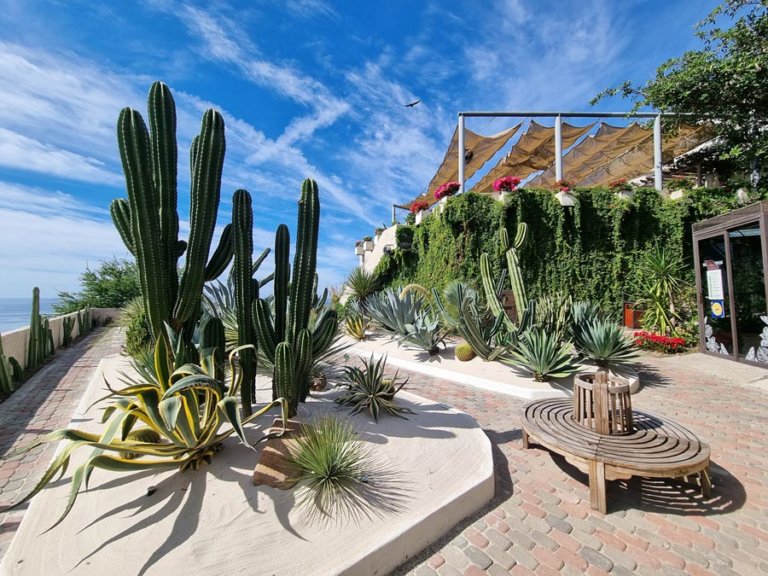 How to Visit Mazatlan Observatory: Guide + Tips (2025)