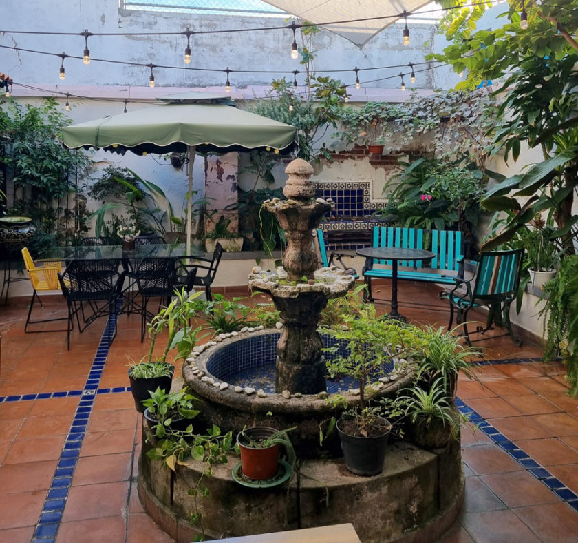 The 15 Best Restaurants in Mazatlan (Guide + My Tips