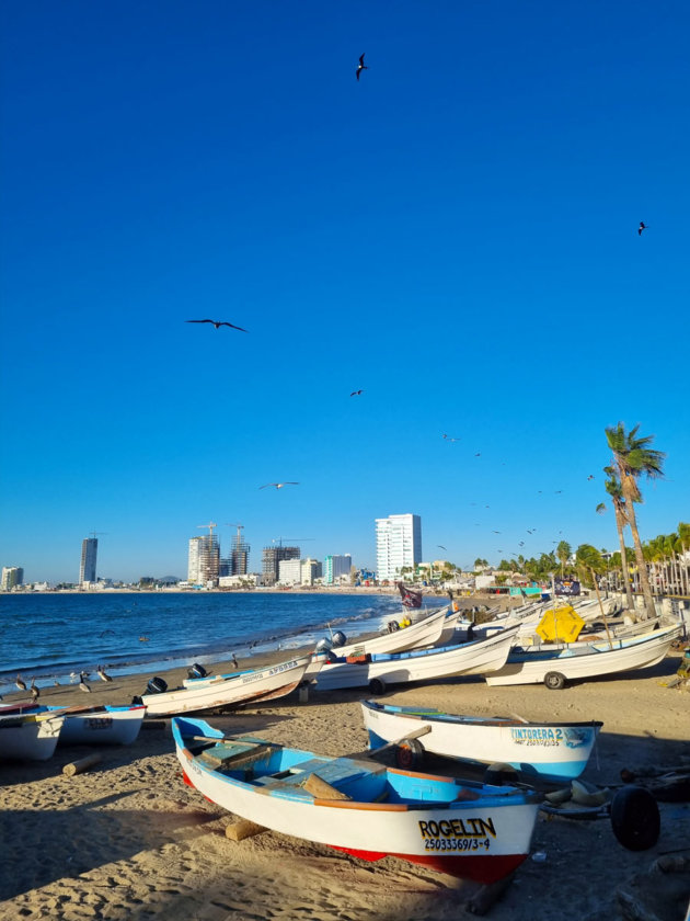 31 Epic Things to do in Mazatlán (+ My Best Tips)