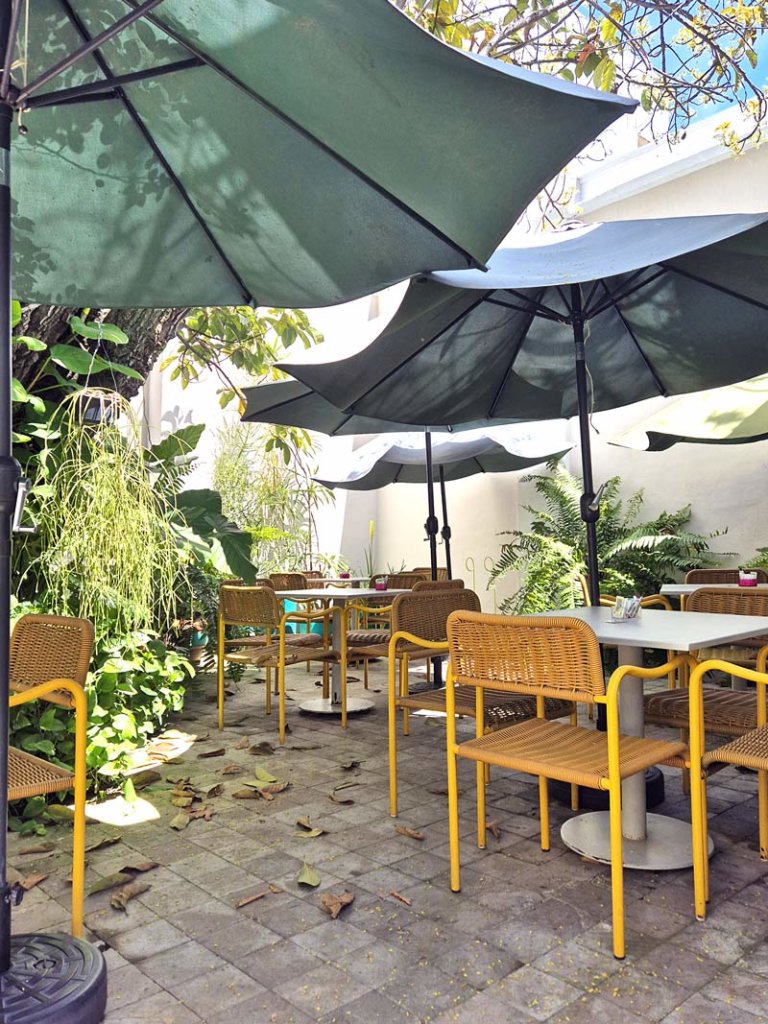 Top 5 Cafeterías con WIFI en Guadalajara (2025)