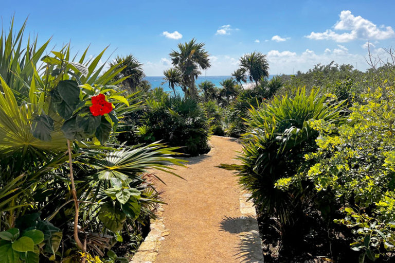Parque del Jaguar y Ruinas de Tulum: La Guía Definitiva