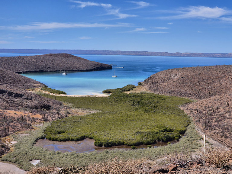 Balandra Beach, La Paz: The Ultimate Guide (+ Tips)